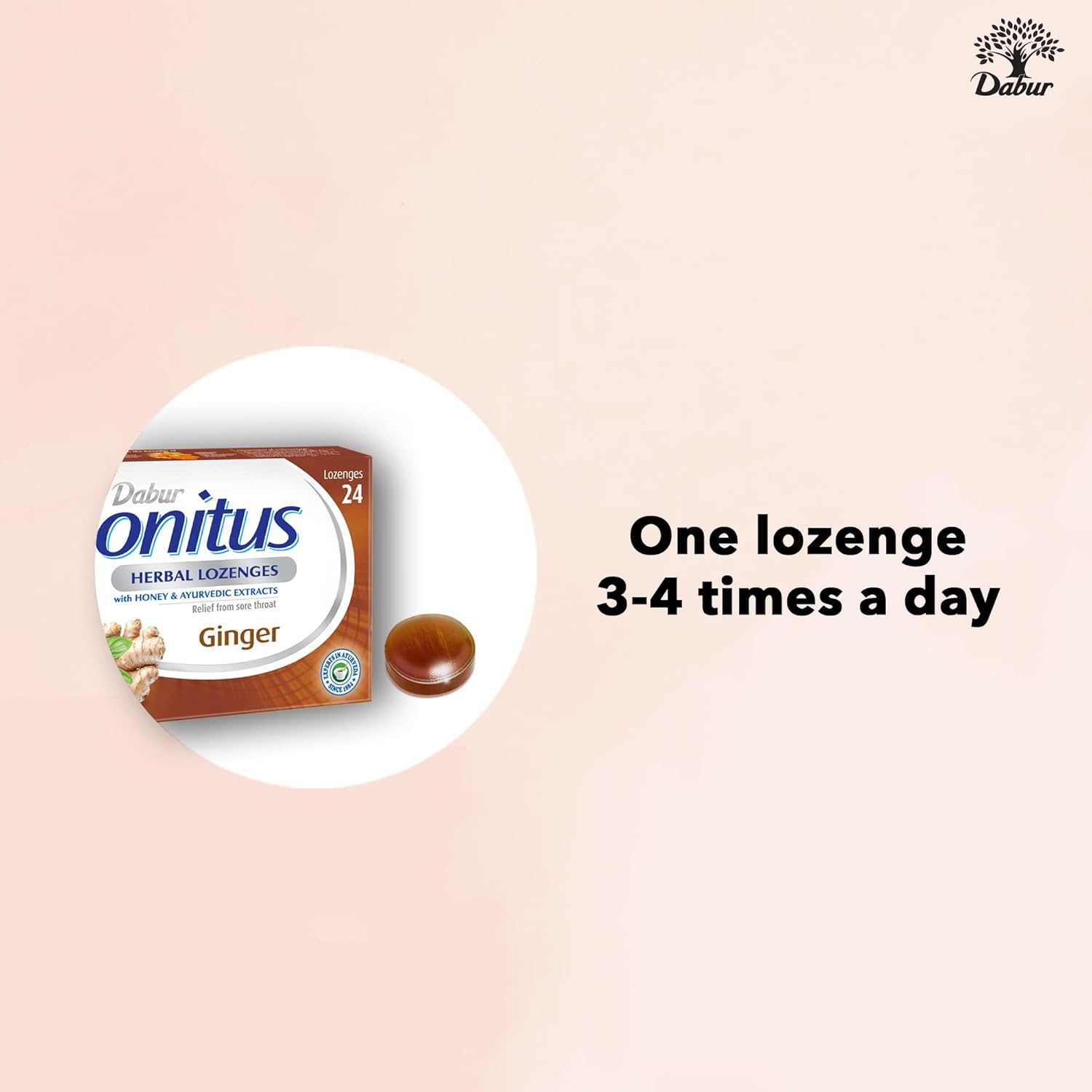Dabur Honitus Ginger Flavor - 24 Herbal Lozenges | Effective Relief fr ...